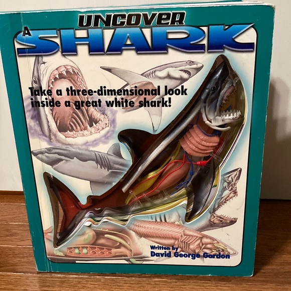 Other | Uncover Shark 3d Shark Model | Poshmark